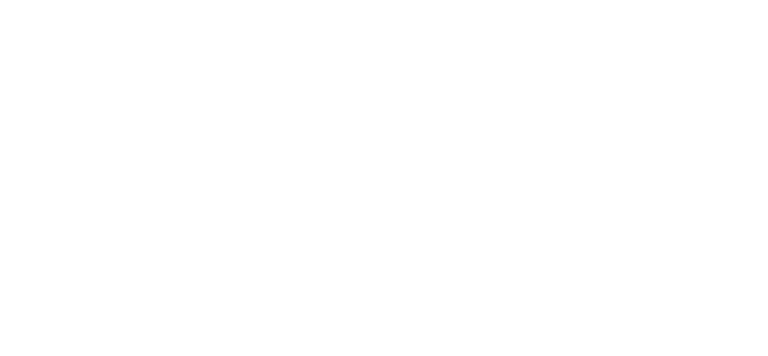Little General Stores | lgstores.com